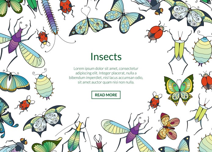 Insect background Royalty Free Vector Image - VectorStock