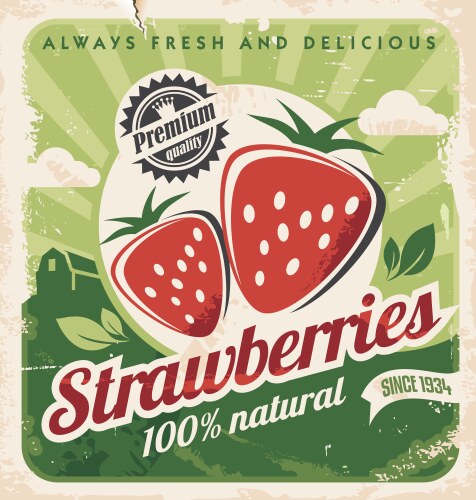 Strawberry Vector Images & Graphics for Commercial Use | VectorStock