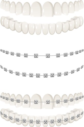 Teeth Vector Images (over 140,000)