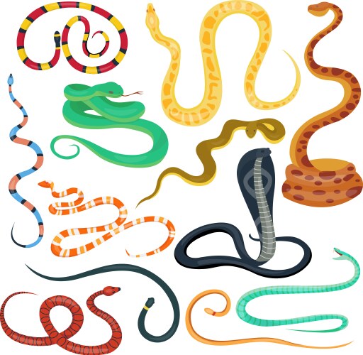 Snake cartoon Vector Images & Graphics for Commercial Use | VectorStock