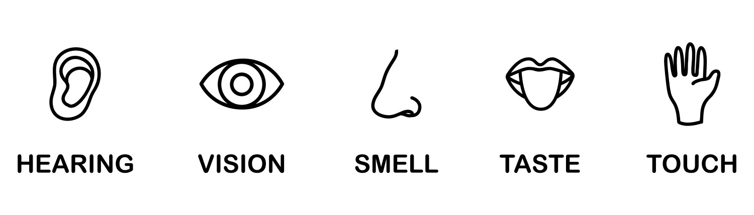 Cartoon Five Senses Vector Images (over 570)