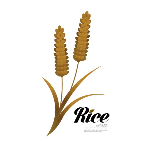 Rice Vector Images (over 83,000)