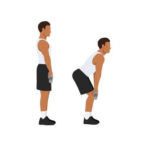 Man doing back extensionshyperextensions exercise Vector Image