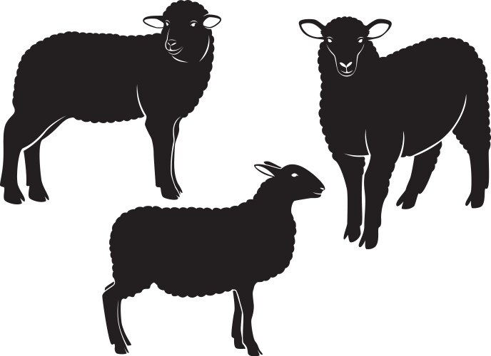 Sheep Vector Images (over 56,000)