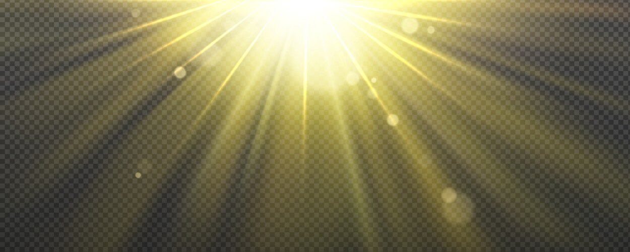Light sun effect isolated on transparent Vector Image