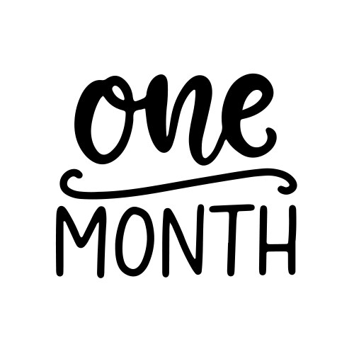 Eight month baby lettering in scandinavian Vector Image