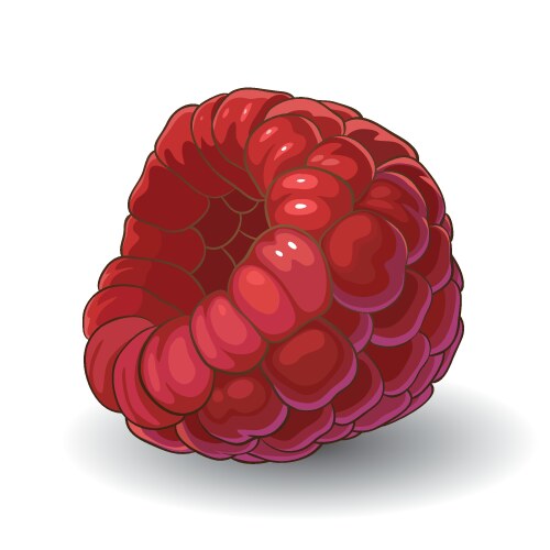 Cartoon doodle raspberry Royalty Free Vector Image