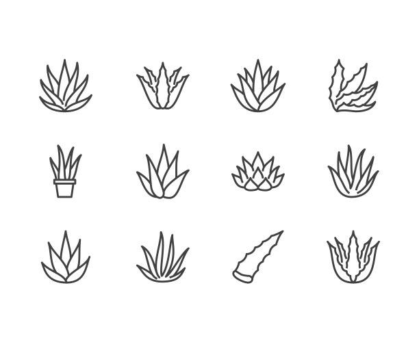 Succulent Outline Vector Images (over 10,000)