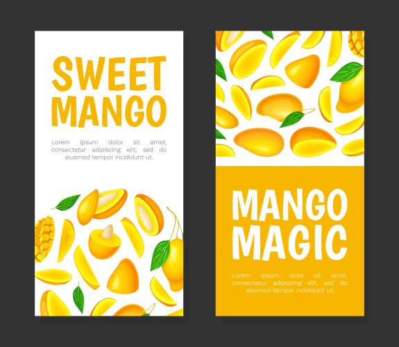 Orange tropical mango fruit isolated on white Vector Image