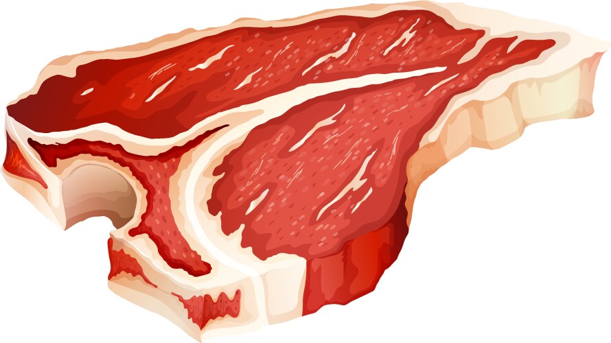 Big piece fresh meat Royalty Free Vector Image