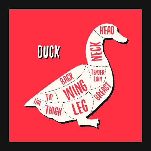 Rabbit meat cutting charts Royalty Free Vector Image