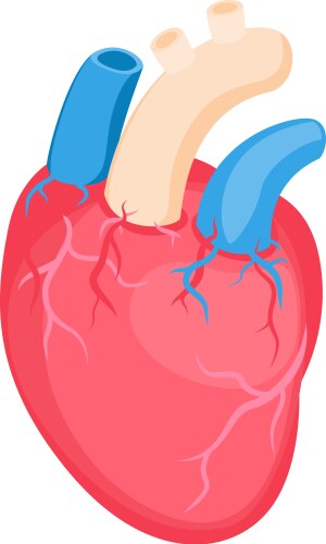 Heart Royalty Free Vector Image - VectorStock