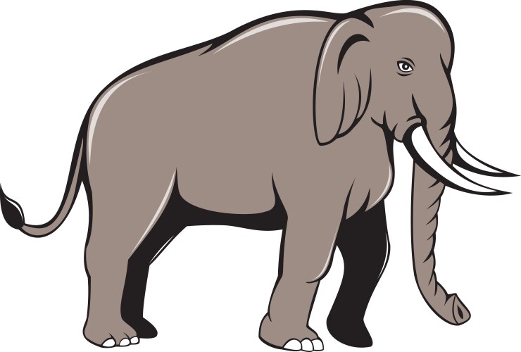 Elephant Head Front Vector Images (over 440)