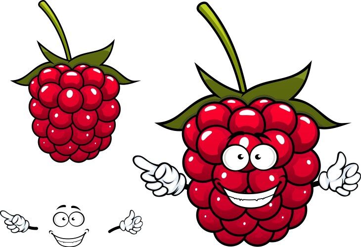 Cartoon raspberry character Royalty Free Vector Image