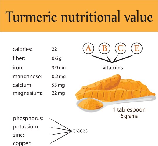 Turmeric plant powder curry food label template Vector Image
