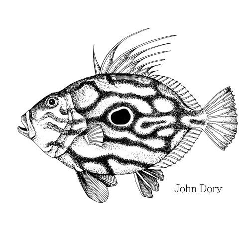 Fish Vector Images (over 510,000)