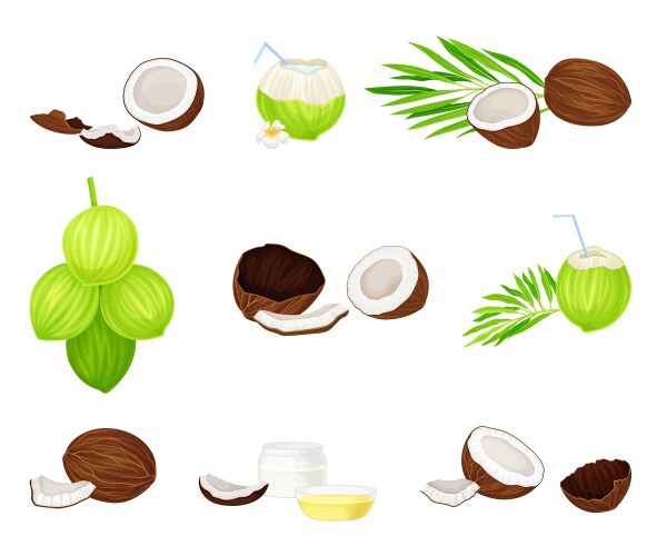 Coir Vector Images (over 120)