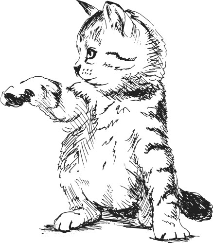 Kitten Vector Images (over 140,000)