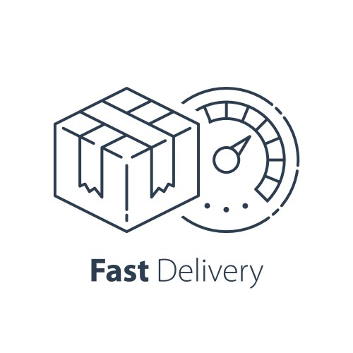Order delivery fast shipment parcel distribution Vector Image