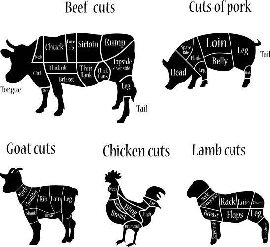 Butcher Chart Pork Chicken Beef Vector Images (over 120)