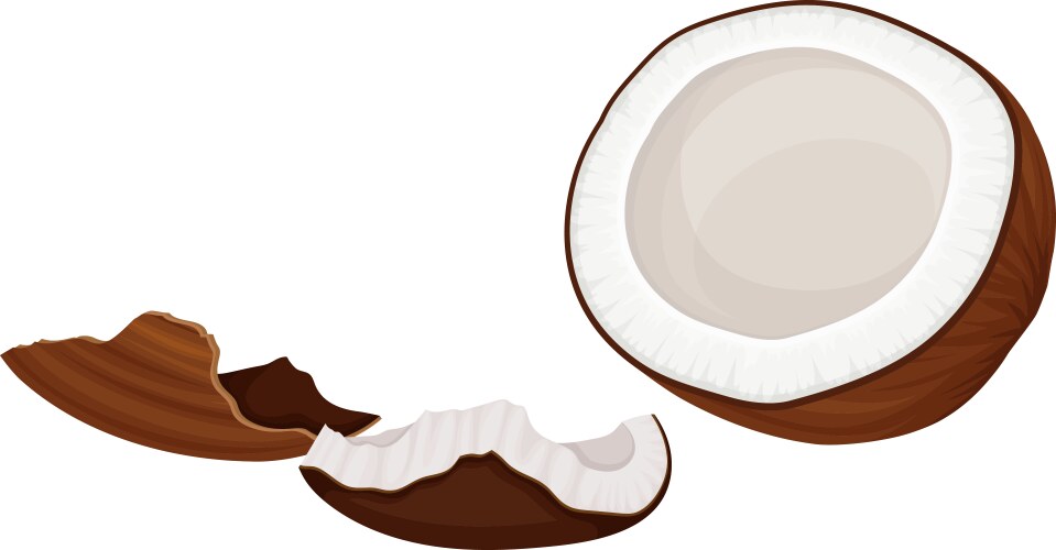 Coir Vector Images (over 120)