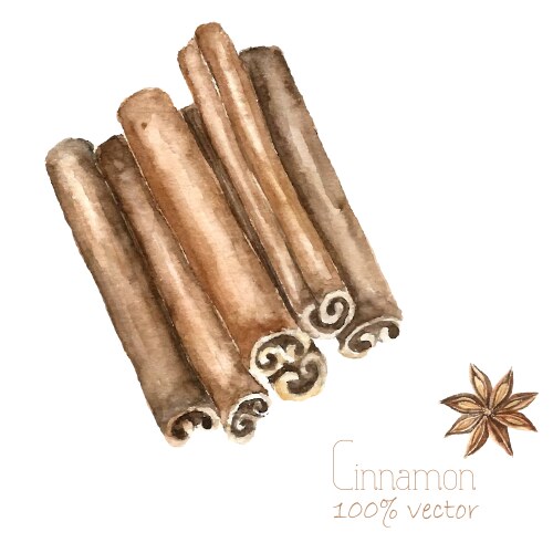 Cinnamon Vector Images (over 21,000)