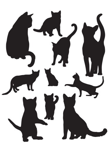 Cat Vector Images (over 360,000)