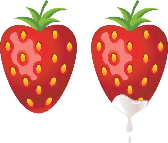 Strawberry Vector Images (over 120,000)