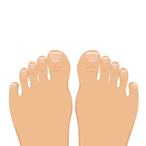 Barefoot Vector Images (over 12,000)