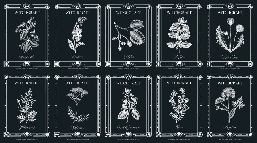 Apothecary label design template witchcraft Vector Image