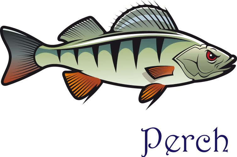 Perch Royalty Free Vector Image - VectorStock