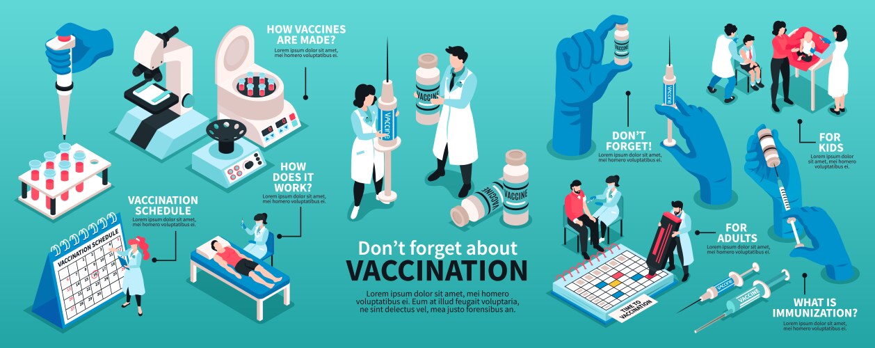 Vaccination calendar isometric flowchart Vector Image
