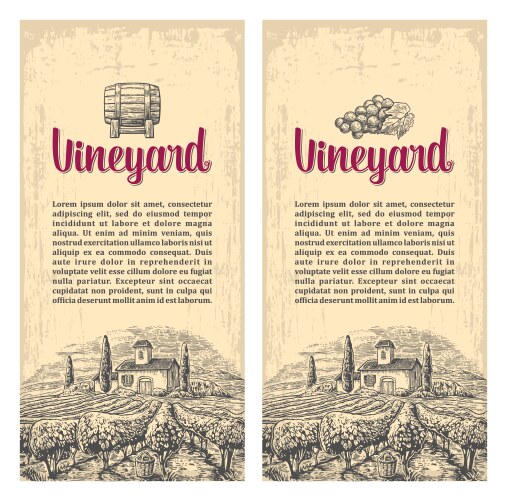 Grapes Vineyard Vector Images (over 22,000)