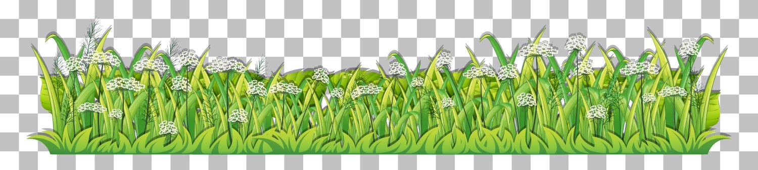 Grass and plants on transparent background Vector Image