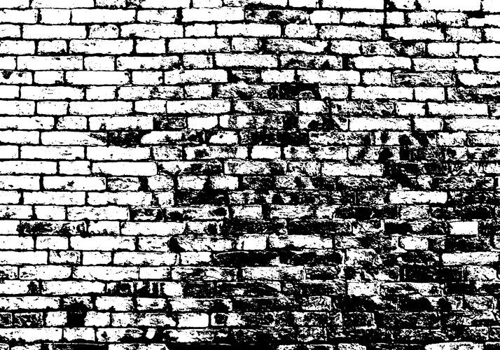Brick wall overlay Royalty Free Vector Image - VectorStock