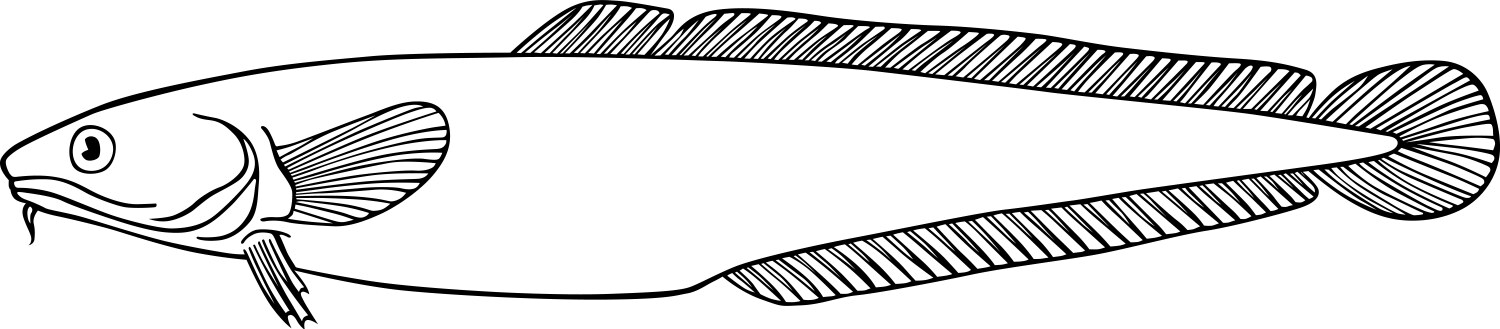 Fish Lips Vector Images (over 490)