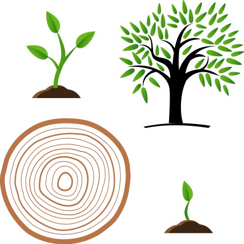 Tree Royalty Free Vector Image - VectorStock