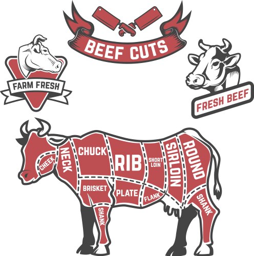 Carcass Cutting Scheme – Royalty-Free Vector | VectorStock