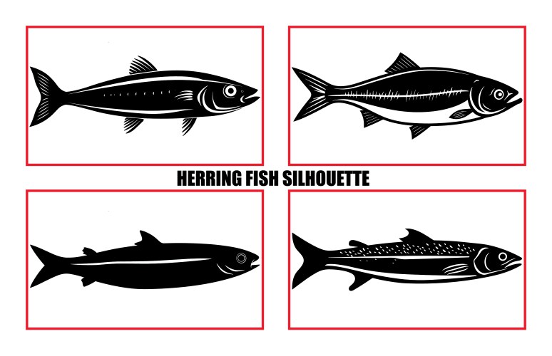 Herring fish silhouette Royalty Free Vector Image