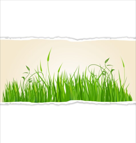 Grass and paper Royalty Free Vector Image - VectorStock