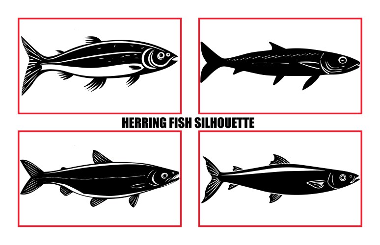 Herring fish silhouette Royalty Free Vector Image
