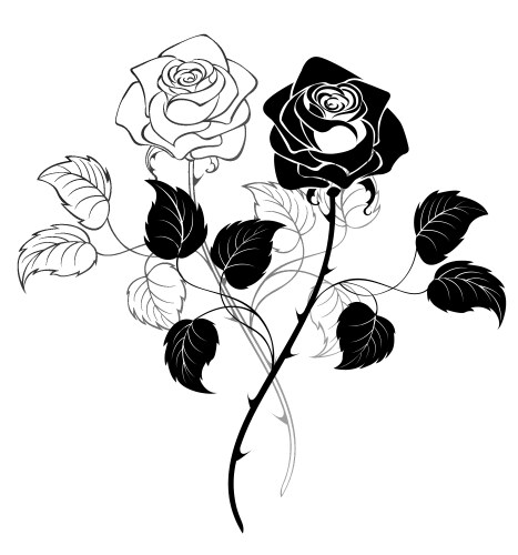 Roses Vector Images (over 330,000)