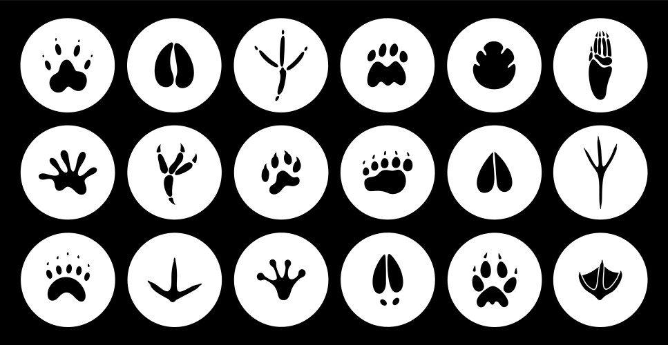 Birds Paws Vector Images (over 7,400)