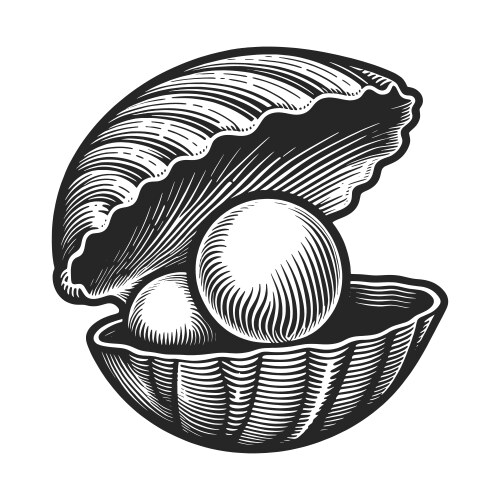 Sea shell with pearl hand drawn sketch Royalty Free Vector