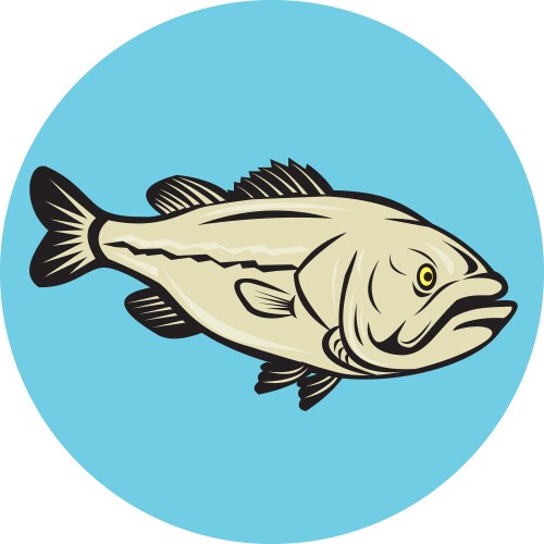 Big fish cartoon character Royalty Free Vector Image