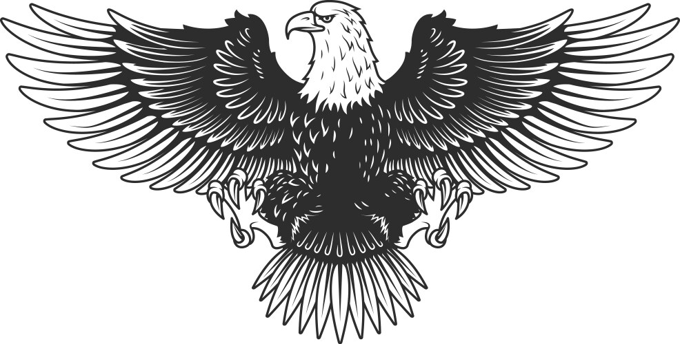 Eagle Vector Free Eagle Vector Images (over 3,600)