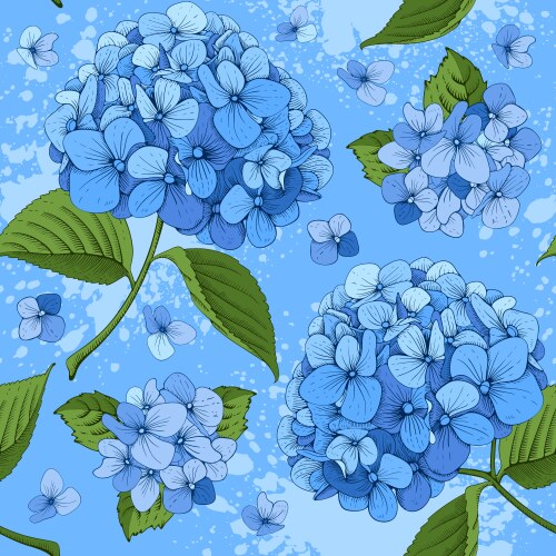 Hydrangea Vector Images (over 7,400)