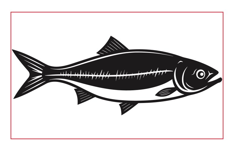 Herring fish silhouette Royalty Free Vector Image