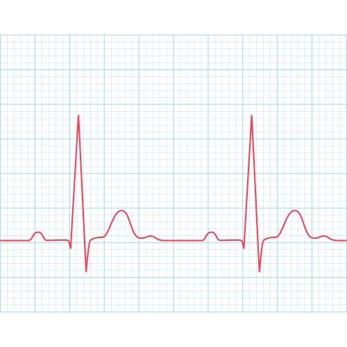 Normal electrocardiogram ecg eps 8 Royalty Free Vector Image