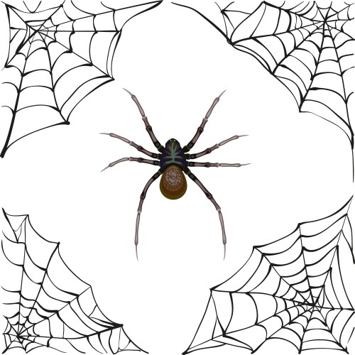Cartoon spider on cobweb Royalty Free Vector Image